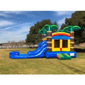 Dual Lane Tropical Fun Water Slide Combo Jumper at Boun